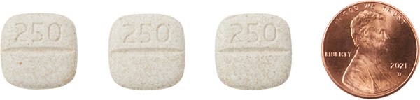 CLAVAMOX (Amoxicillin / Clavulanate Potassium) Chewable Tablets for Dogs & Cats, 250-mg, 1 ...