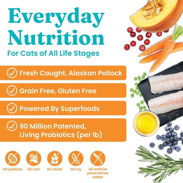 SOLID GOLD High Protein Wild Alaskan Pollock & Eggs Recipe Grain-Free ...