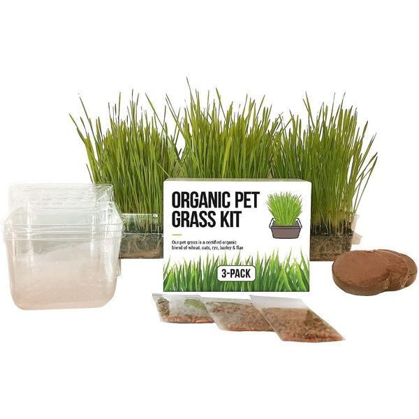 THE CAT LADIES Organic Pet Grass Grow Kit, 3 count - Chewy.com