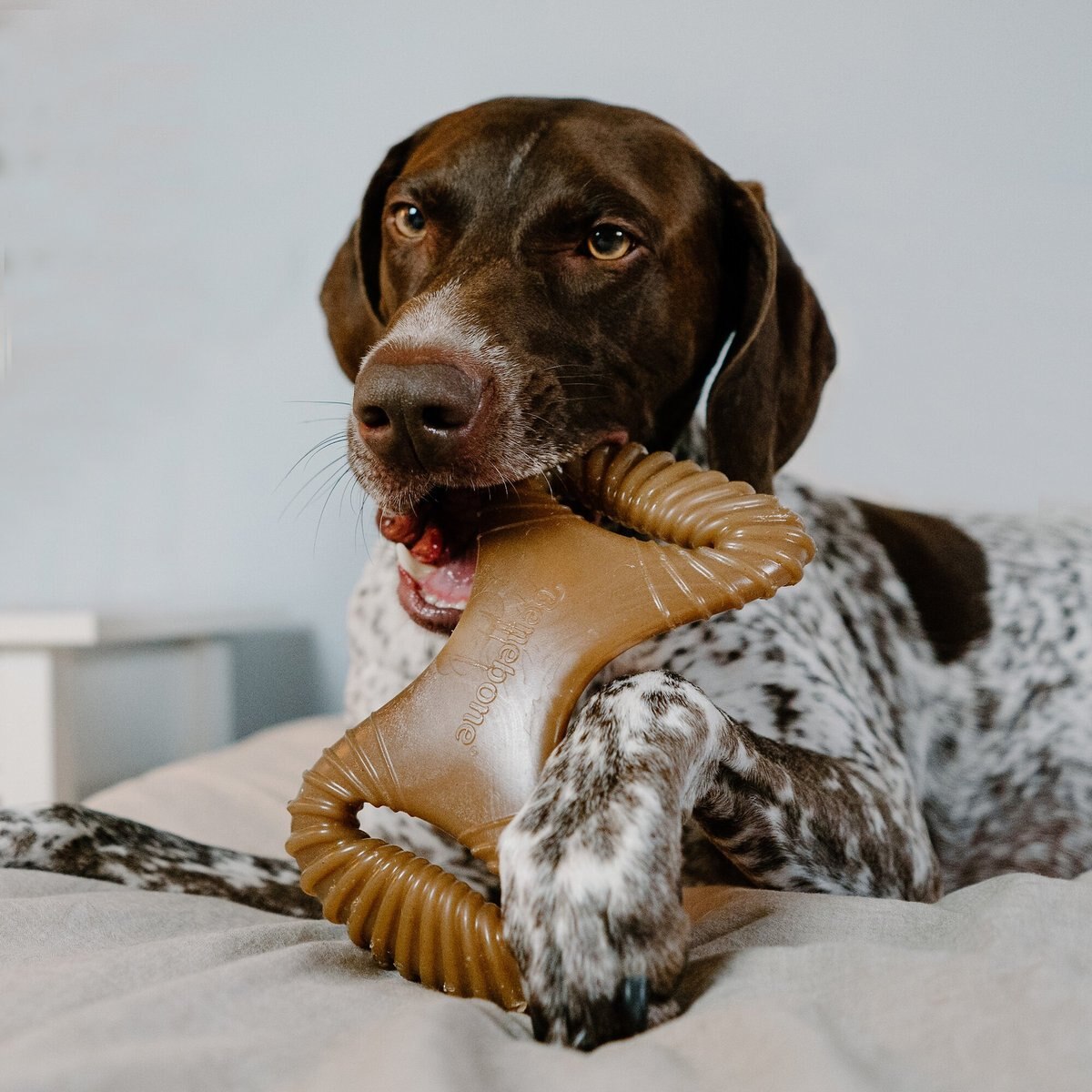 BENEBONE Chicken Flavor Dental Tough Dog Chew Toy, Large - Chewy.com