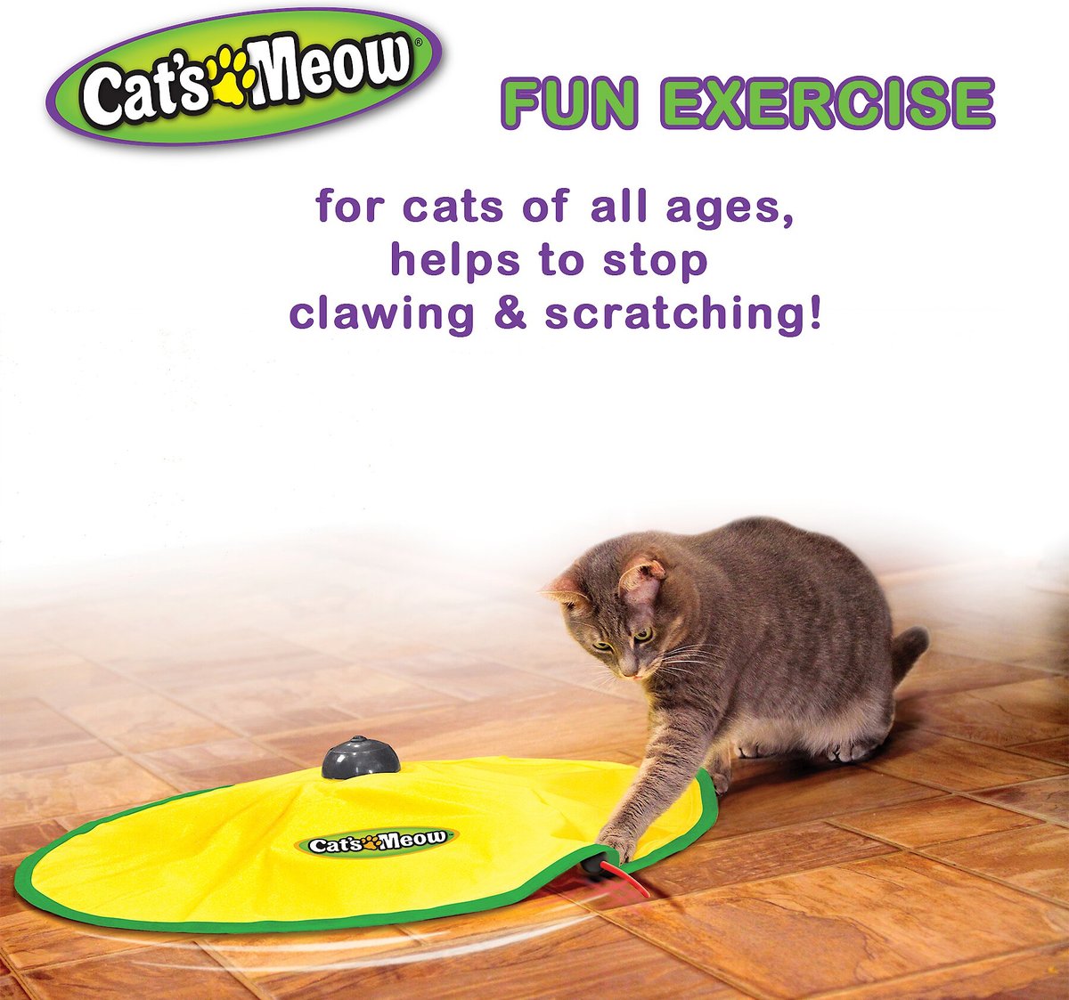 Discontinued - CAT'S MEOW Motorized Chaser Cat Toy - Chewy.com