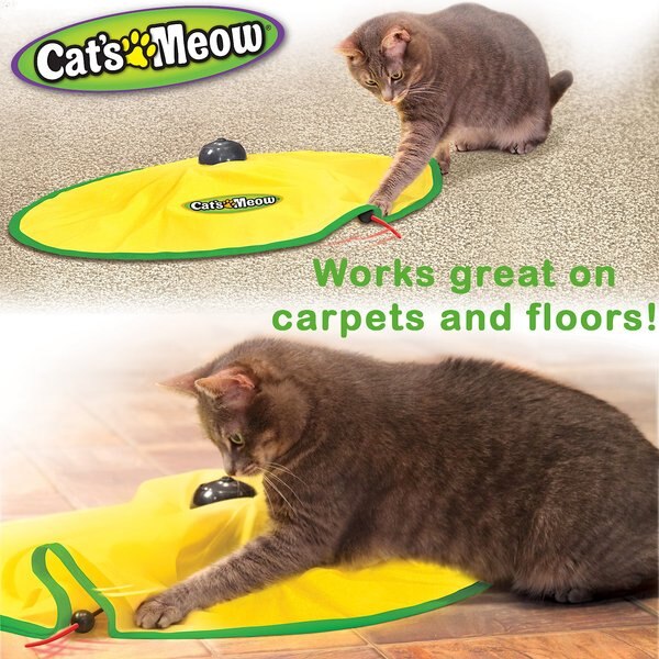 Discontinued - CAT'S MEOW Motorized Chaser Cat Toy - Chewy.com