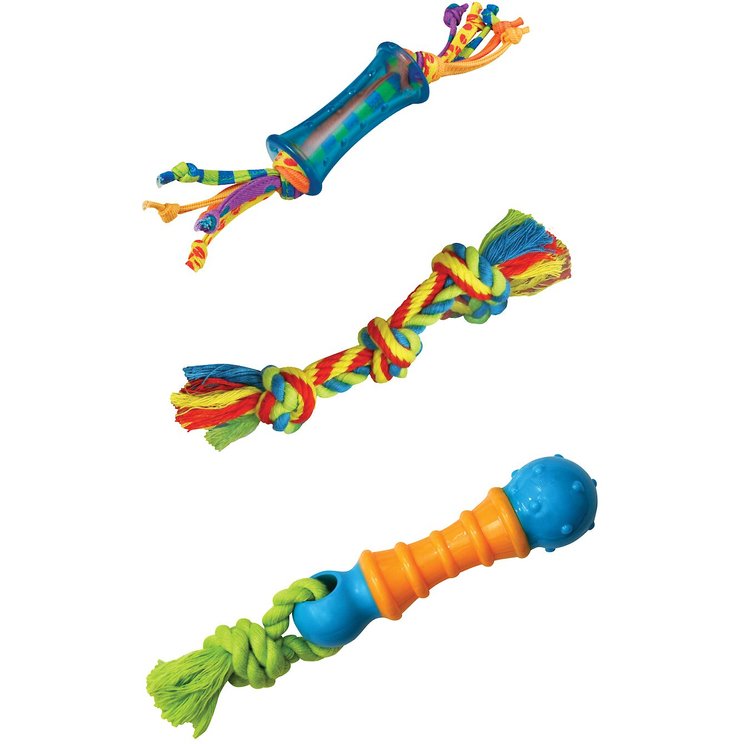 PLASTIC DOG CHEW TOYS (Free Shipping) | Chewy