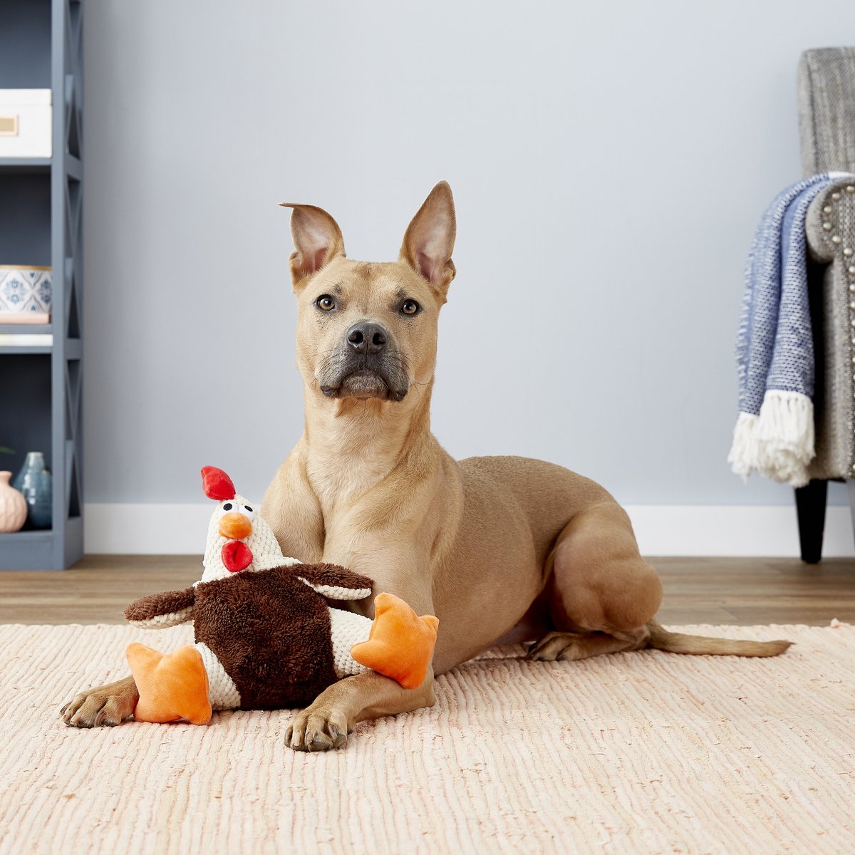 GODOG Checkers Chew Guard Rooster Squeaky Plush Dog Toy, Fat Large ...