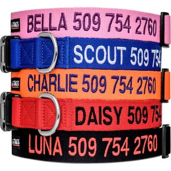 Pink Dog Collars (Free Shipping) | Chewy