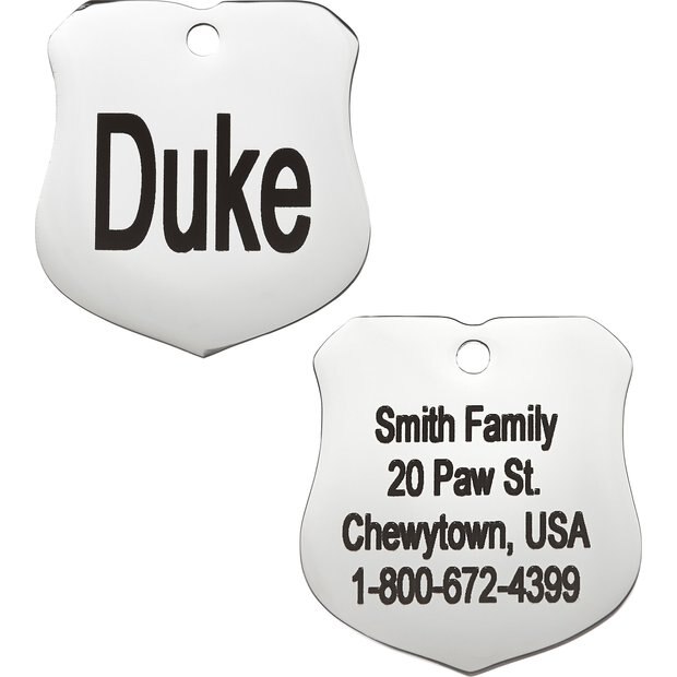 PERSONALIZED STAINLESS STEEL DOG TAGS (Free Shipping) | Chewy