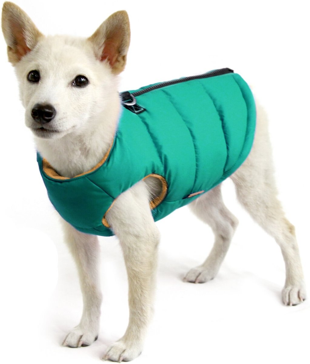 GOOBY Padded Dog Vest, Turquoise, X-Large - Chewy.com