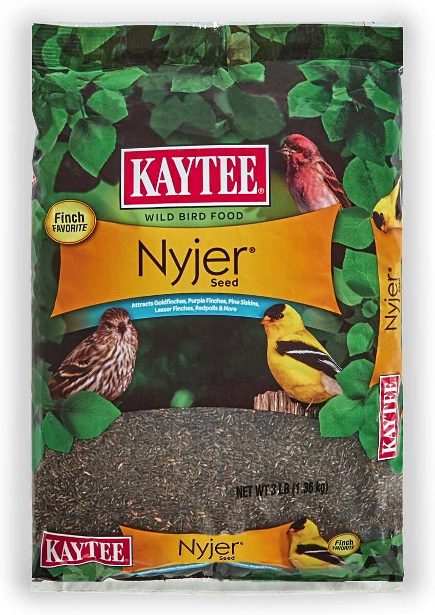 KAYTEE Nyjer Wild Bird Food, 3-lb - Chewy.com