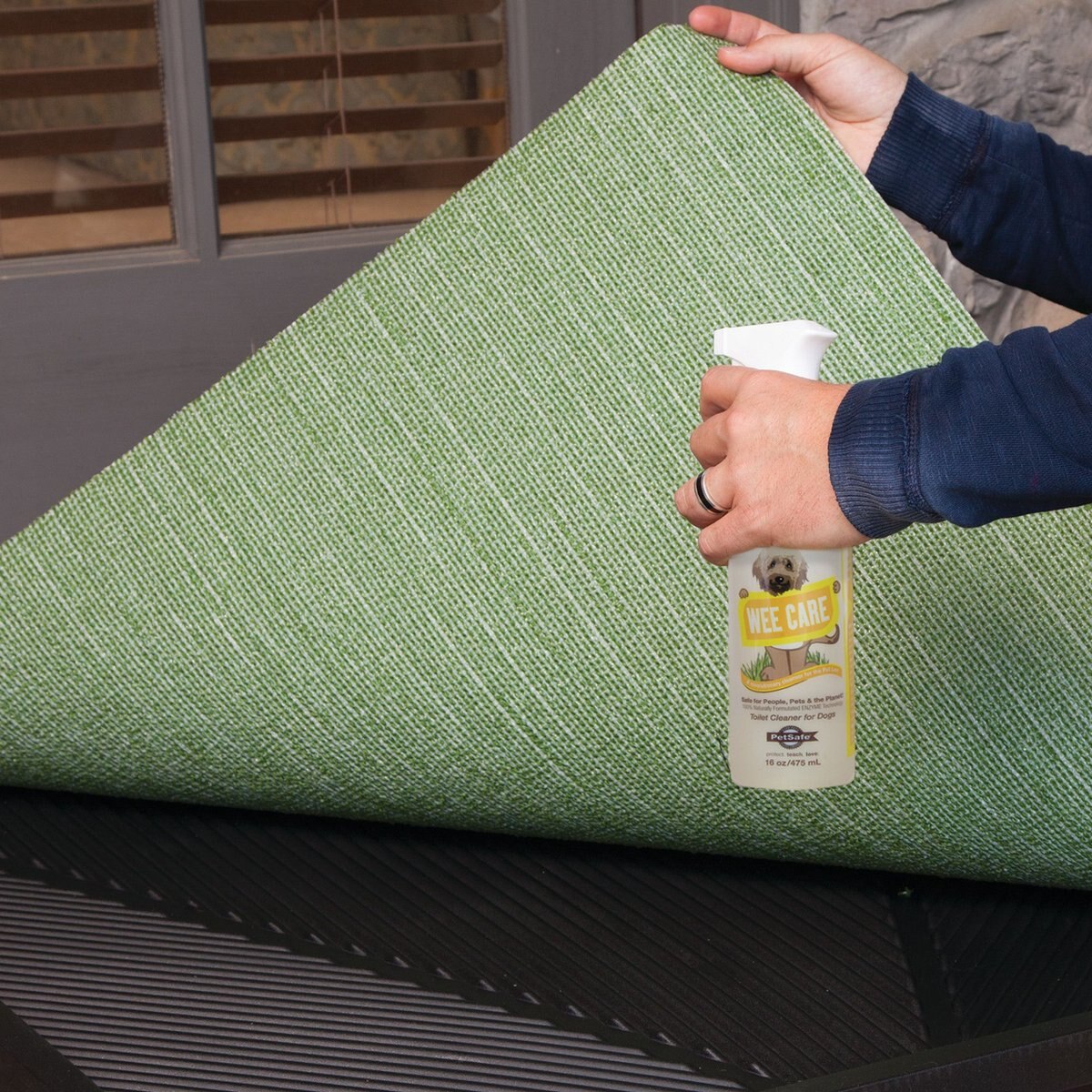 PETSAFE Pet Loo Wee Care Enzyme Cleaner, 16-fl oz - Chewy.com