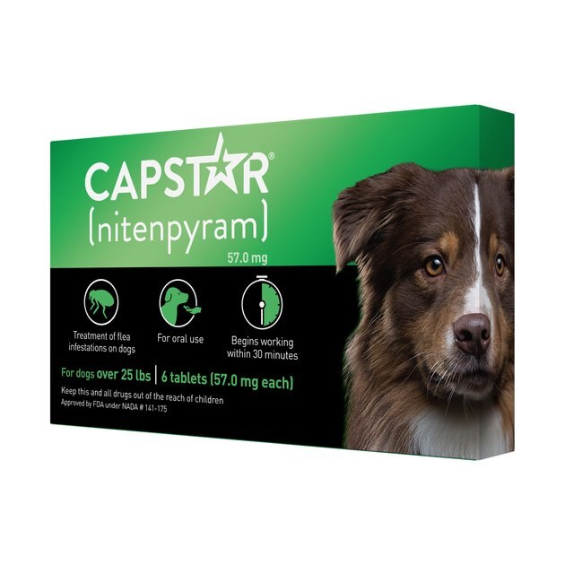 CAPSTAR Flea Oral Treatment for Dogs, over 25 lbs, 6 Tablets - Chewy.com