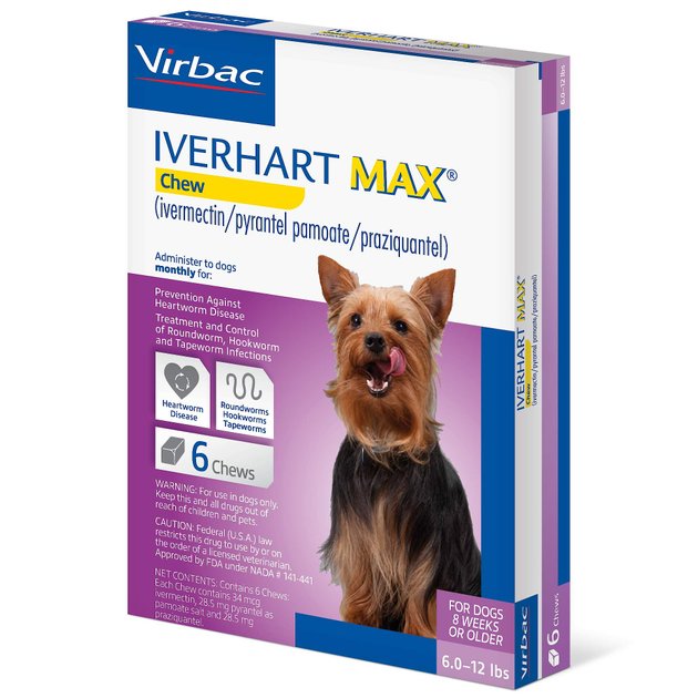 IVERHART MAX Chew for Dogs, 6-12 lbs, (Purple Box), 6 Chews (6-mos ...