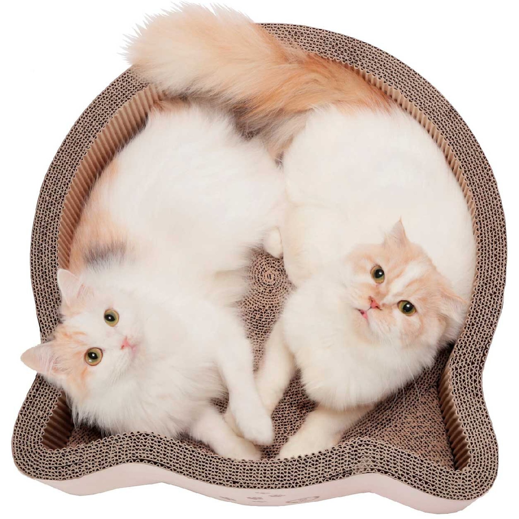 NECOICHI Cat Head Scratcher Bed, Large - Chewy.com