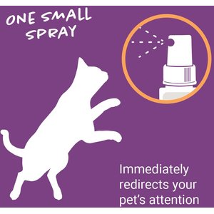 5 Best Cat Repellents 2024: According to Reviews | Chewy