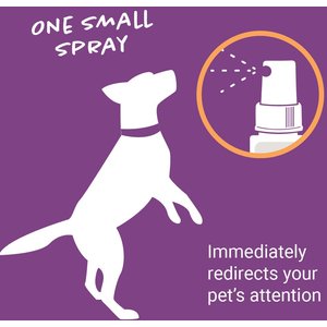 10 Best Dog Repellents 2024: According to Reviews | Chewy