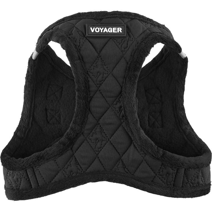 Cute Dog Supplies (Free Shipping) | Chewy