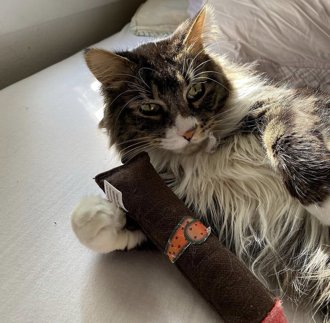 MEOWIJUANA Catnip Cigar Cat Toy, Color Varies - Chewy.com