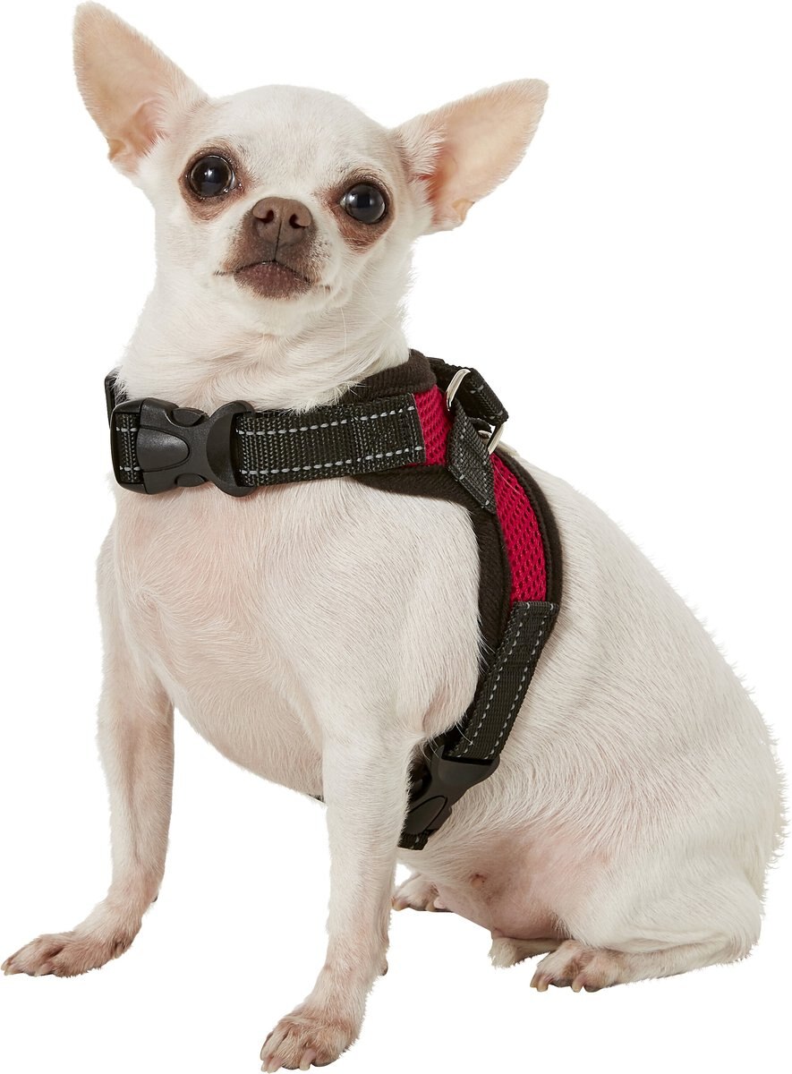 COPATCHY No-Pull Reflective Adjustable Dog Harness, Red, X-Small ...