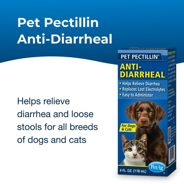 PETAG Pet Pectillin Anti-Diarrheal Medication for Dogs & Cats, 4-fl oz ...