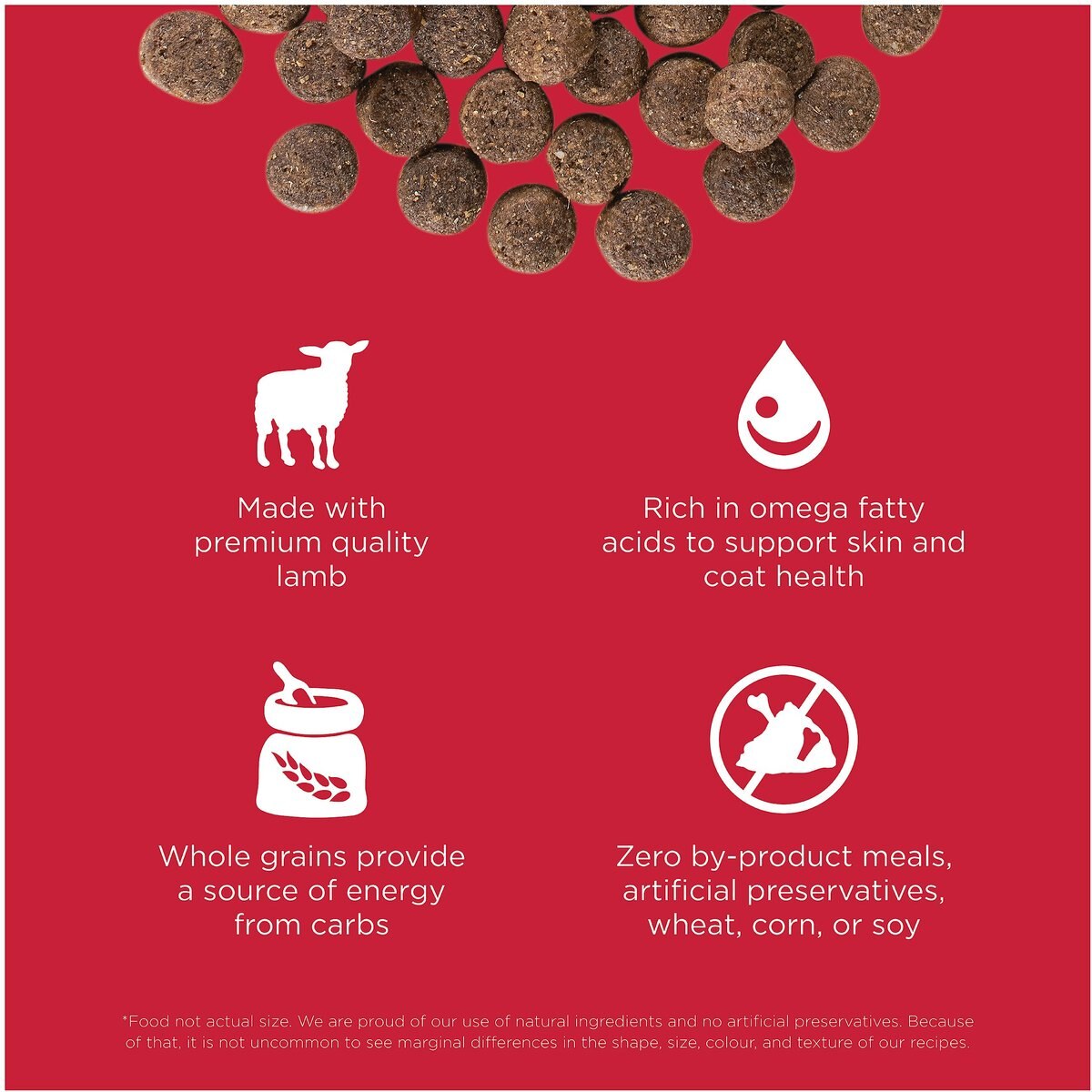 New Version Available - GO! SOLUTIONS Skin + Coat Care Lamb Recipe Dry ...