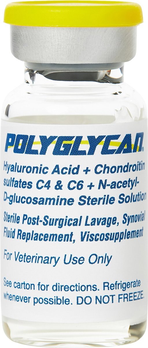 POLYGLYCAN for Horses 10mL - Chewy.com