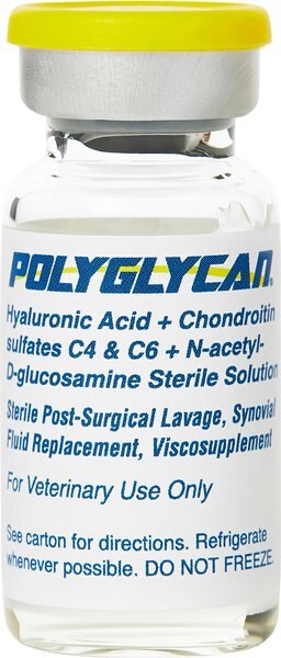 POLYGLYCAN for Horses 10mL - Easy Refills | Chewy Rx