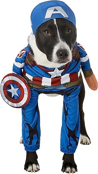 Discontinued - RUBIE'S COSTUME COMPANY Walking Captain America Dog ... Discontinued - RUBIE'S COSTUME COMPANY Walking Captain America Dog ...