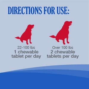 10 Best Dog Multivitamins 2025: According to Reviews | Chewy