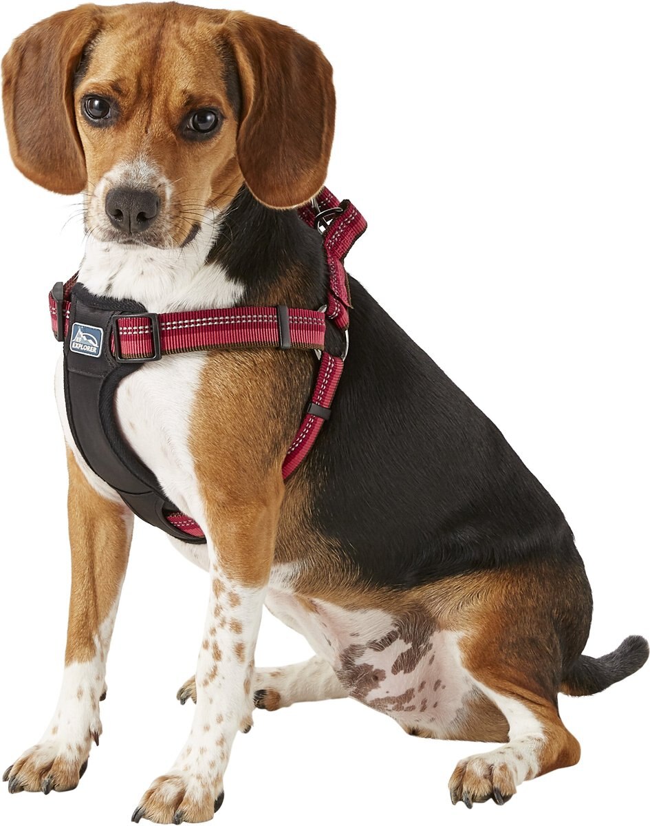 K9 EXPLORER Reflective Adjustable Padded Dog Harness, Berry, Medium, 1 ...