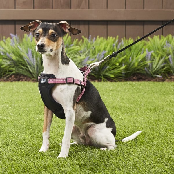 K9 EXPLORER Reflective Adjustable Padded Dog Harness, Rosebud, X-Small ...