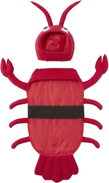 FRISCO Red Lobster Dog & Cat Costume, Medium - Chewy.com