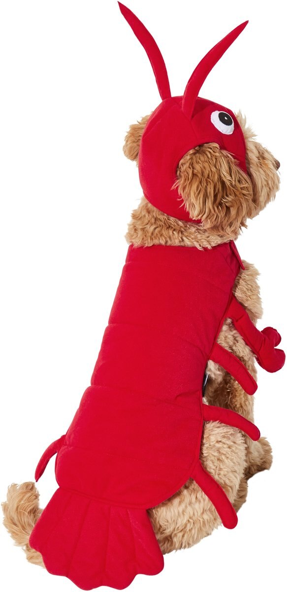 FRISCO Red Lobster Dog & Cat Costume, XX-Large - Chewy.com