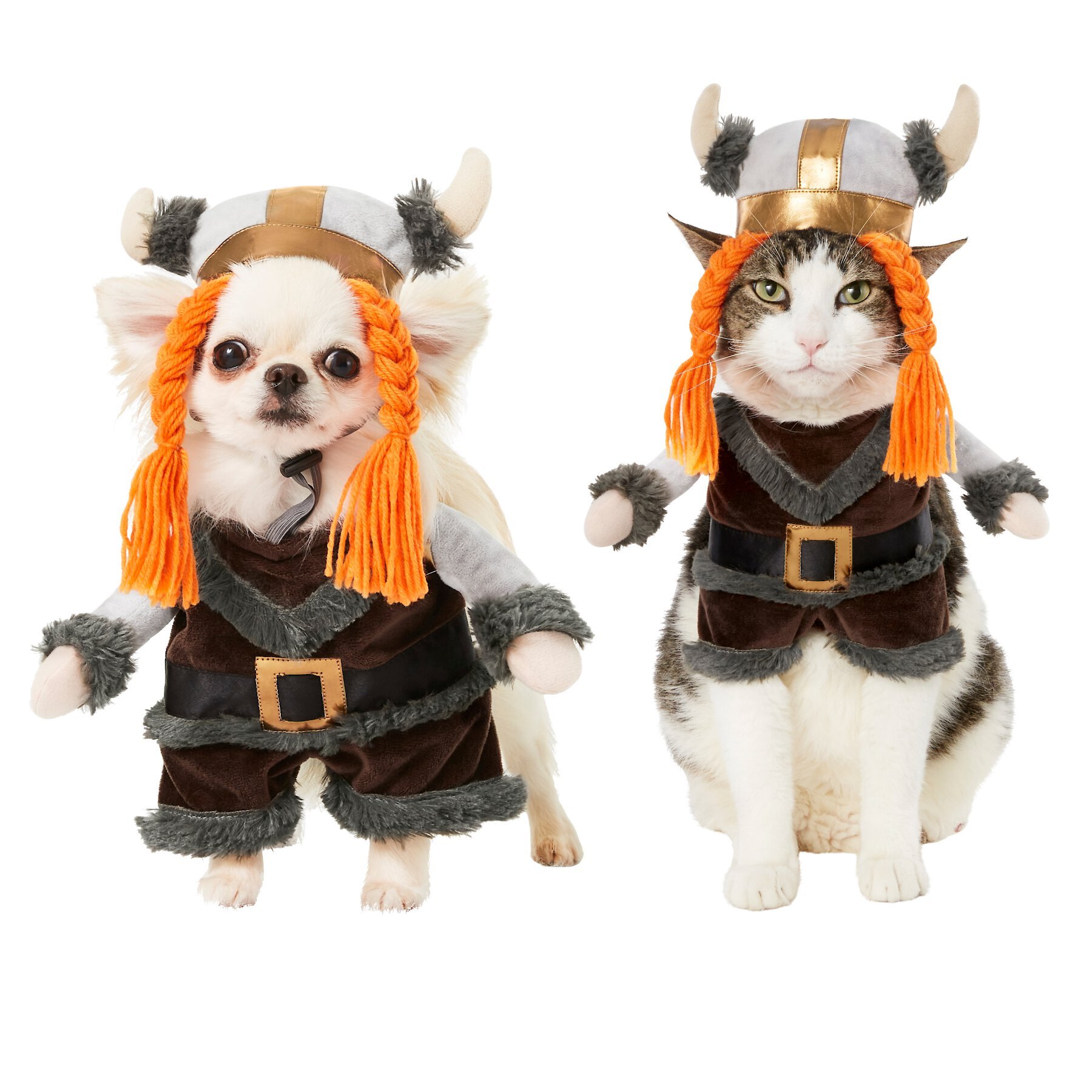 Questions and Answers about FRISCO Walking Viking Dog & Cat Costume