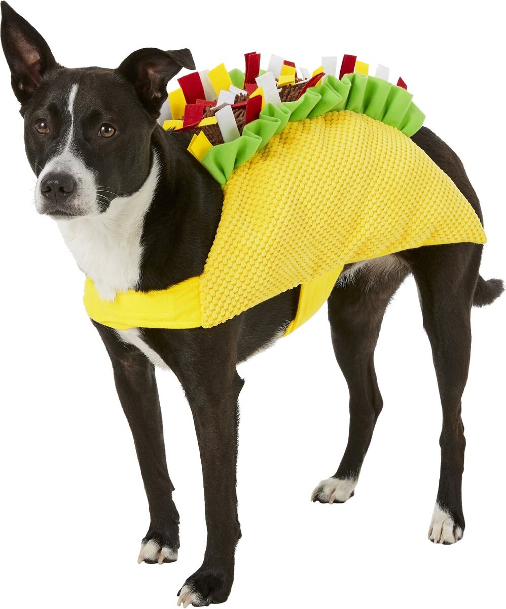 FRISCO Taco Dog & Cat Costume, Large - Chewy.com