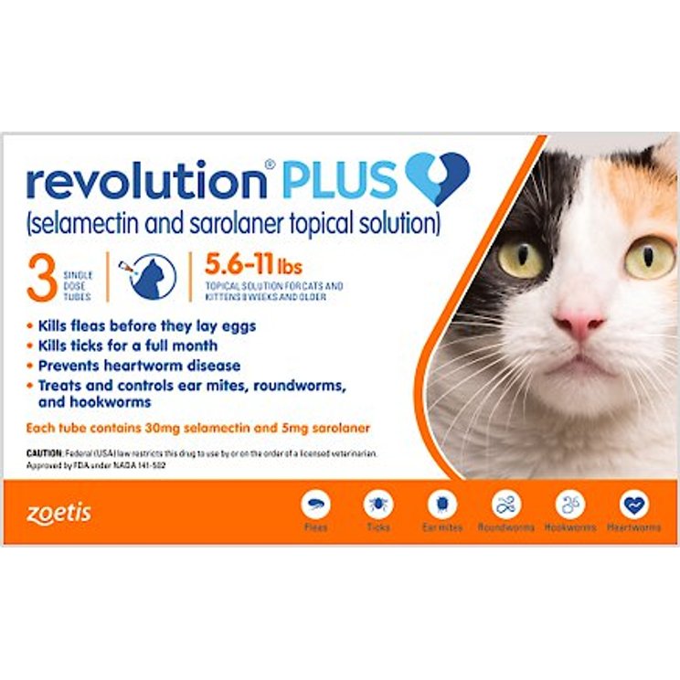Cat Medicine: Prescription Cat Pharmacy Medication (Ships Free) | Chewy RX