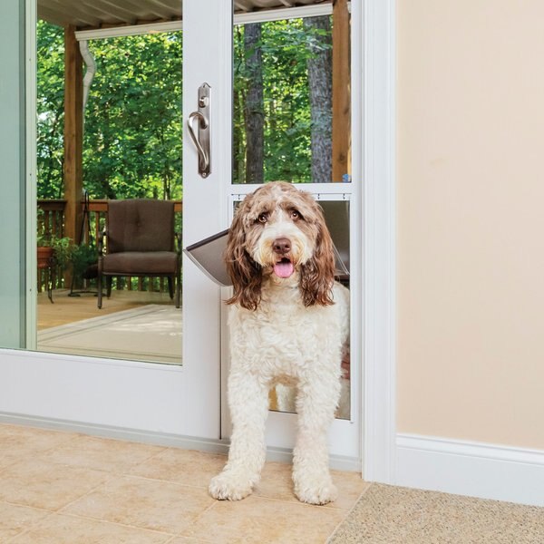 10 Best Dog Doors 2024: According to Reviews | Chewy