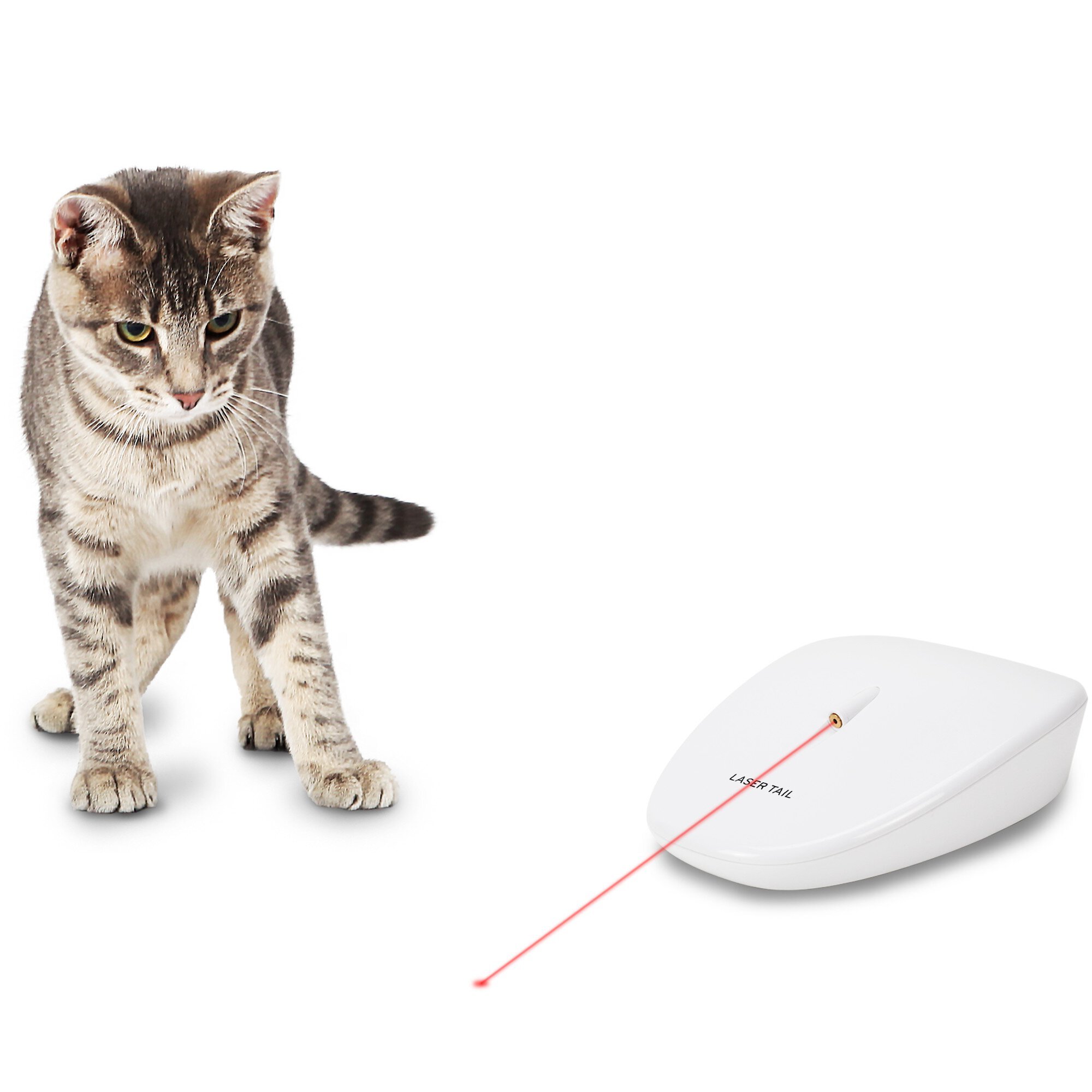 Questions and Answers about PETSAFE Laser Tail Laser Cat Toy