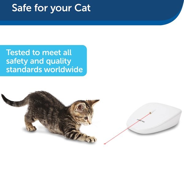 PETSAFE Laser Tail Laser Cat Toy - Chewy.com
