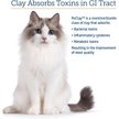 RX VITAMINS Rx Clay Powder Digestive Supplement for Dogs, 100-g - Chewy.com
