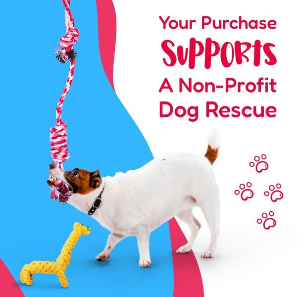 PACIFIC PUPS RESCUE Assorted Rope Dog Toys, 11 count - Chewy.com