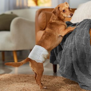 10 Best Dog Diapers & Wraps 2024: According to Reviews | Chewy