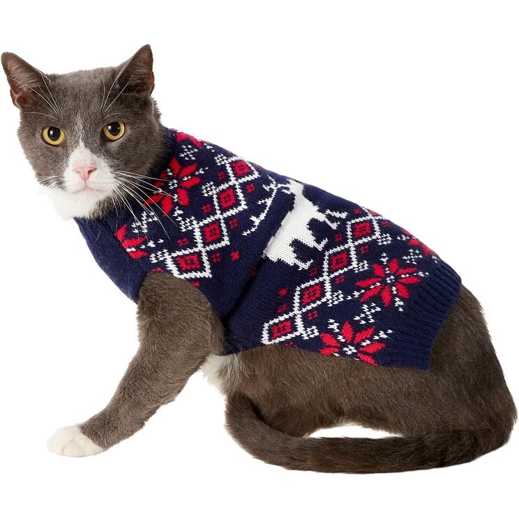 Cat Clothes: Shirts, Sweaters, Jackets & More (Free Shipping) | Chewy
