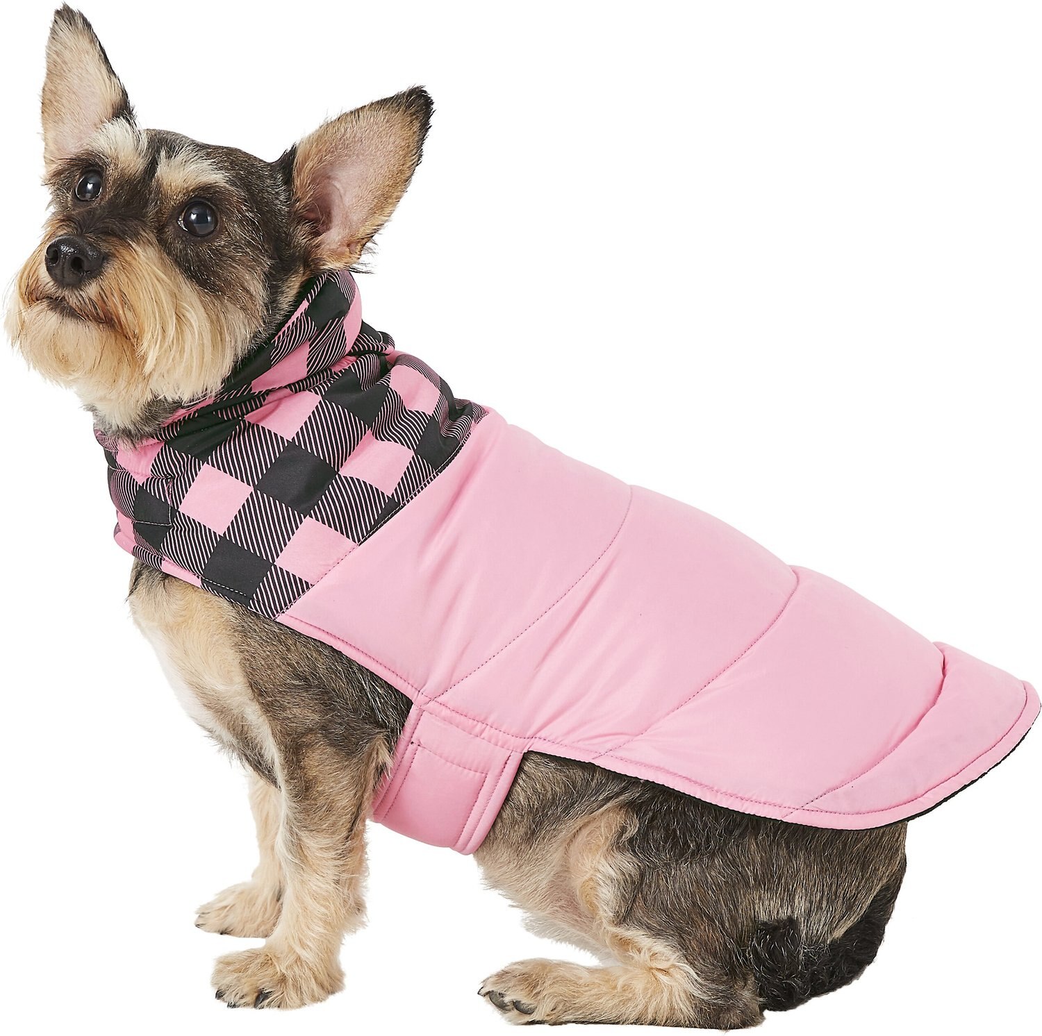 FRISCO Mediumweight Boulder Plaid Insulated Dog & Cat Puffer Coat, Pink ...