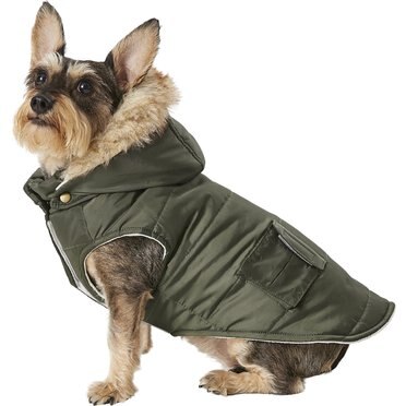 FRISCO DOG JACKETS (Free Shipping) | Chewy