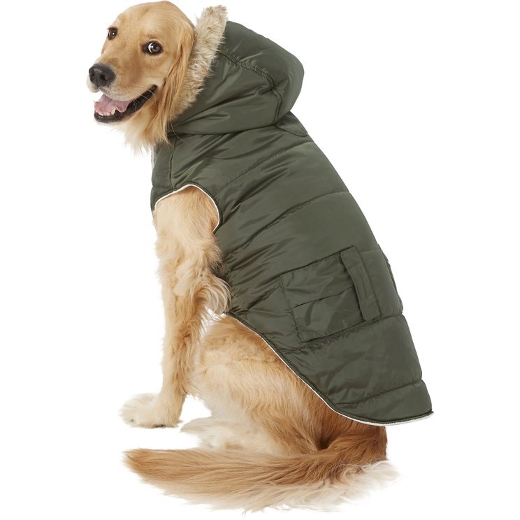 DOG JACKETS FOR LARGE BREEDS (Free Shipping) | Chewy