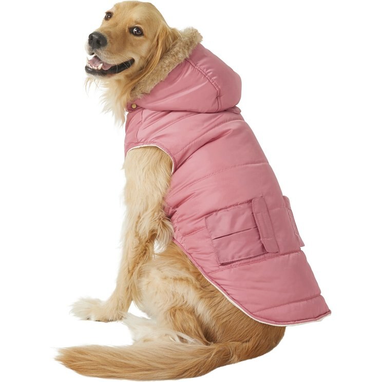 PINK DOG COATS (Free Shipping) | Chewy