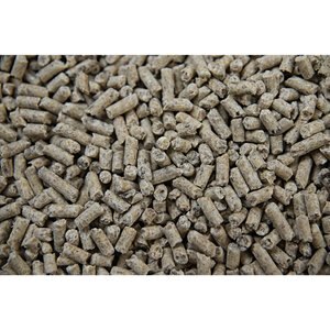 10 Best Ration Balancers for Horses 2024: According to Reviews | Chewy