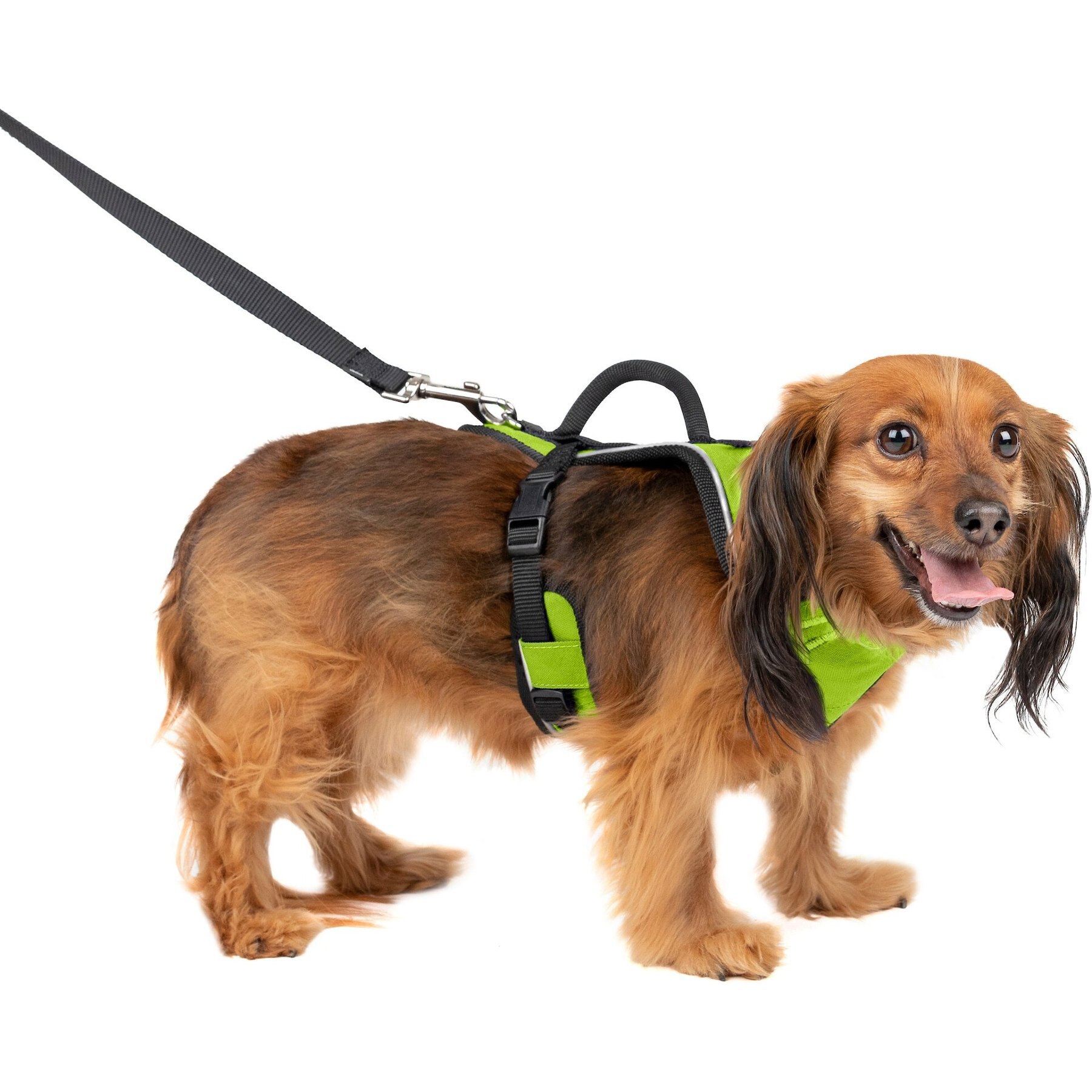 PETSAFE EasySport Nylon Reflective Back Clip Dog Harness, Apple, X ...