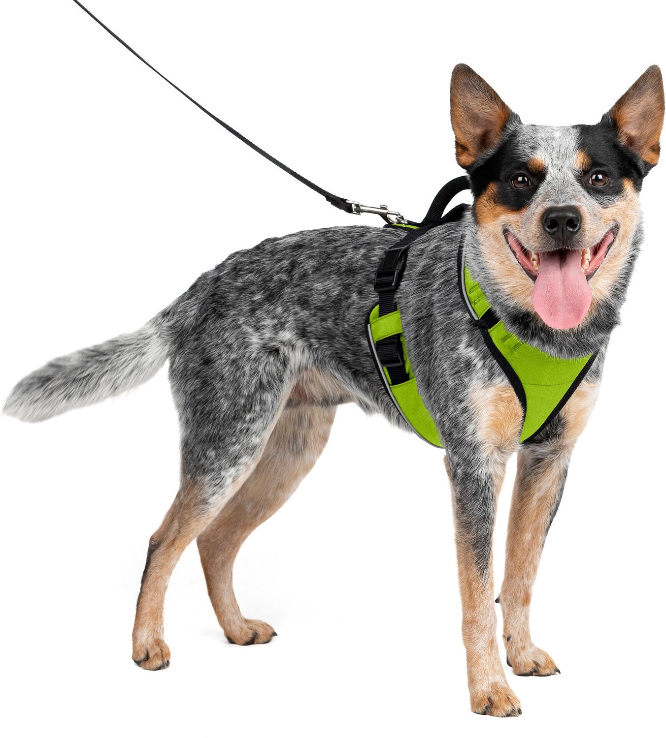 PETSAFE EasySport Nylon Reflective Back Clip Dog Harness, Apple, Medium ...