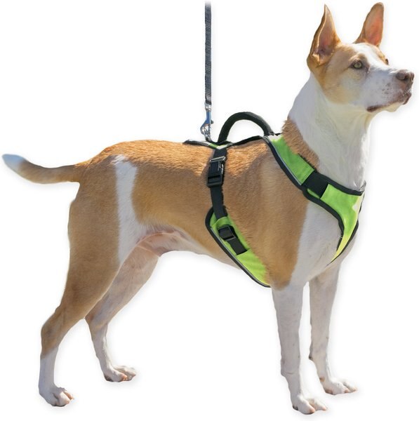 PETSAFE EasySport Nylon Reflective Back Clip Dog Harness, Apple, Medium ...