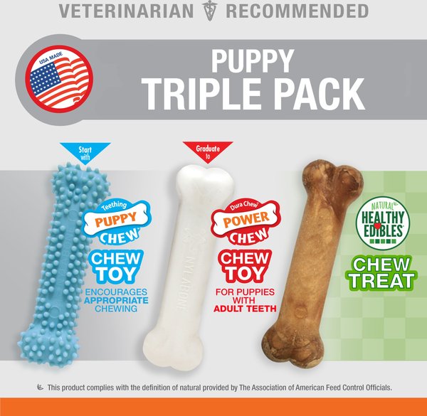 NYLABONE Puppy Chew Variety Toy & Treat Triple Pack Blue, Small - Chewy.com